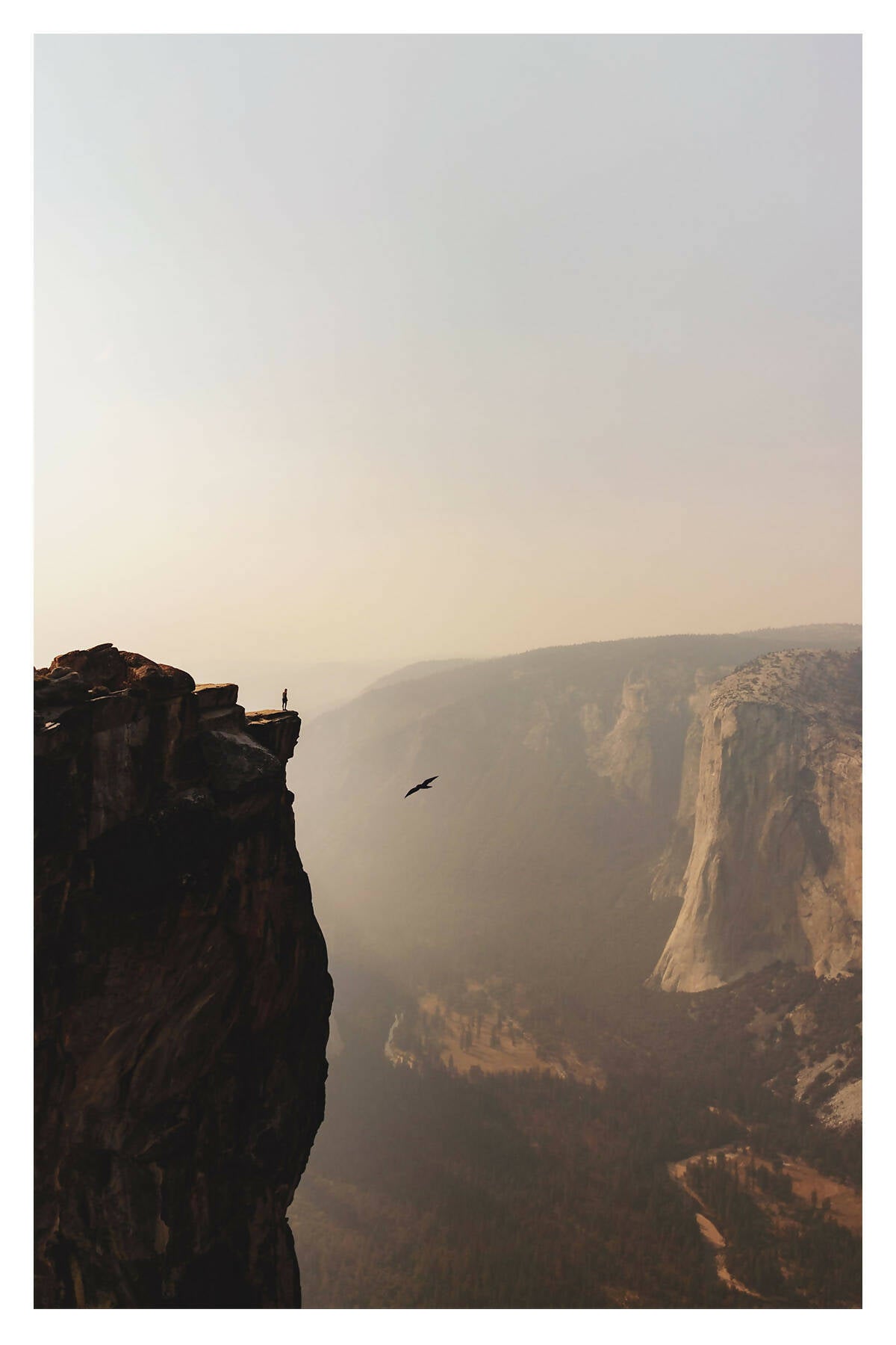 Taft Point Postcard Print
